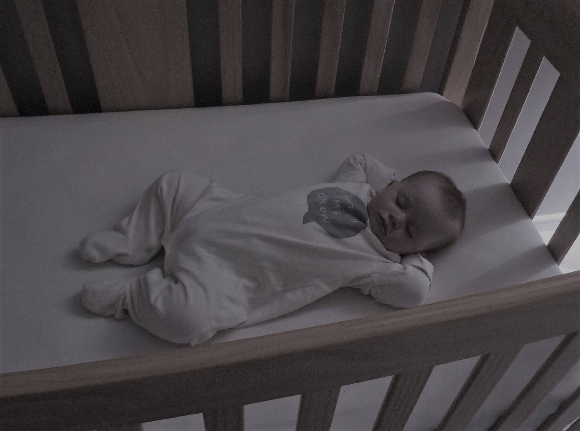 Baby Ecology book: Table of Contents